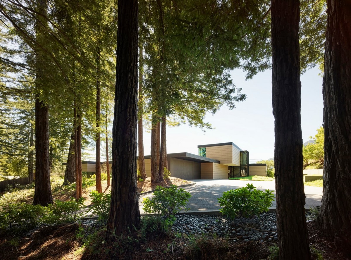 Spring Road - Modern Architecture | EYRC Architects